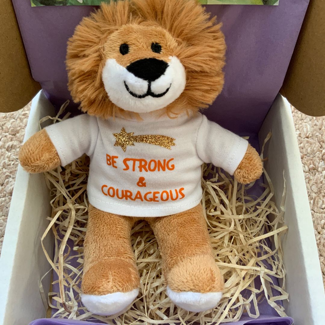 Bear in a Box : Be Strong | marymarthameg.co.uk – Mary, Martha & Meg